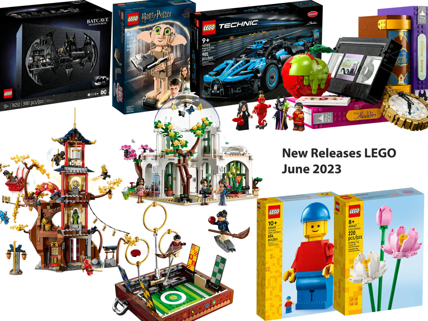 NEW RELEASES LEGO - June 2023 - Bettylovesbricks.comBettylovesbricks.com